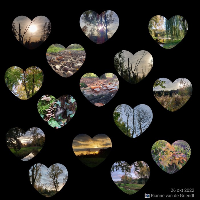 Rouw- en verliesverwerking